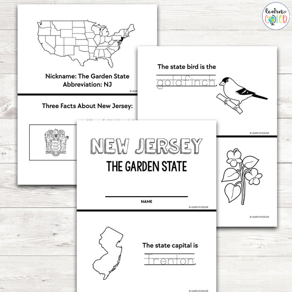 US States Mini Books - Full Bundle – Learn in Color