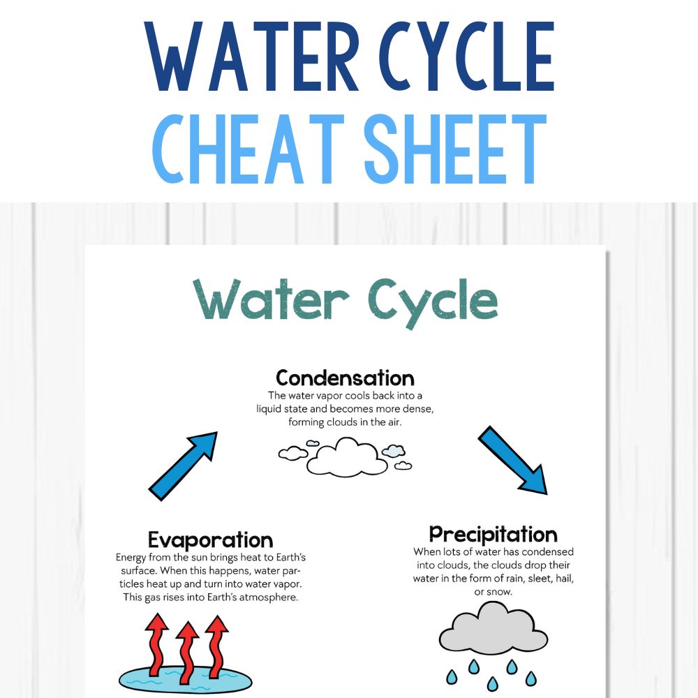 Water Cycle Cheat Sheet – Learn in Color