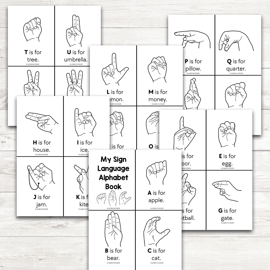 American Sign Language Booklet – Learn in Color