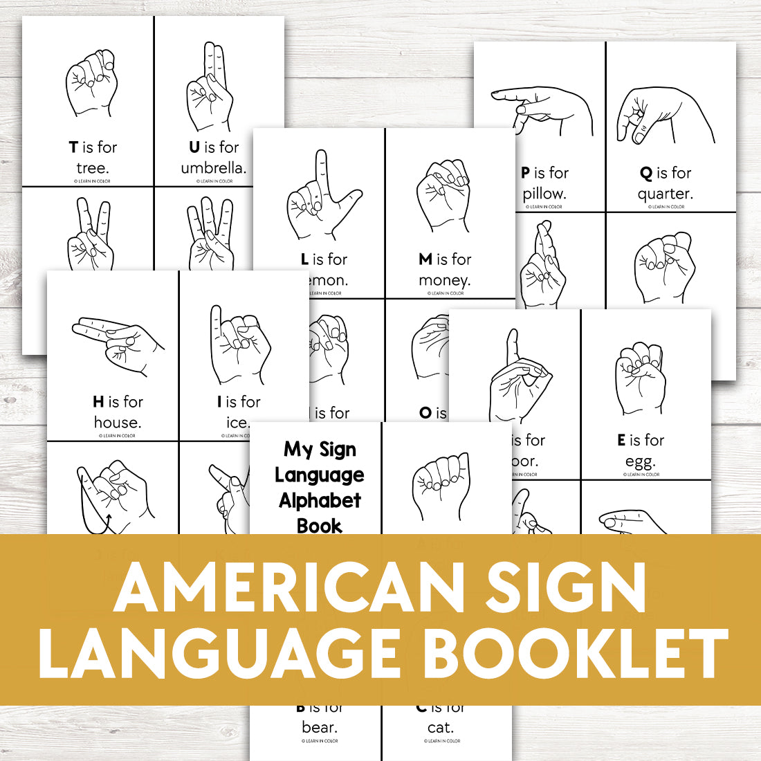 American Sign Language Booklet – Learn in Color