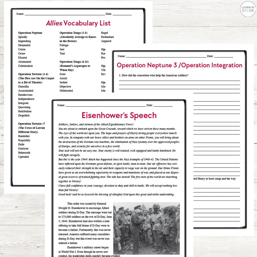 Allies by Alan Gratz Book Study Grades: 6-8 – Learn in Color