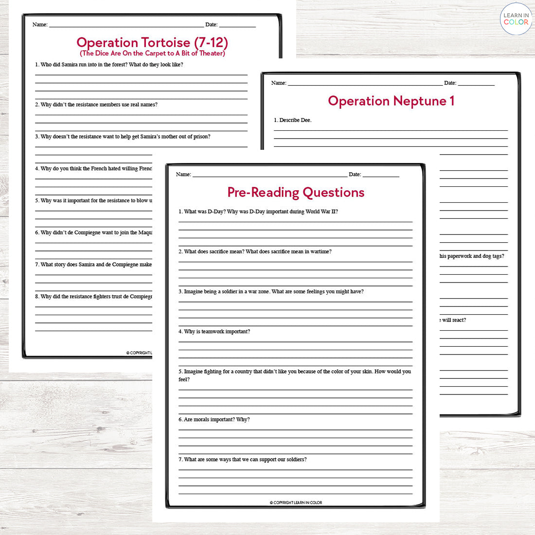 Allies by Alan Gratz Book Study Grades: 6-8 – Learn in Color