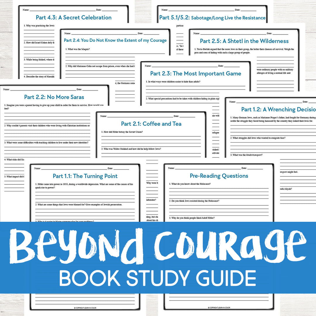 Beyond Courage Book Study Grades: 6-9 – Learn in Color