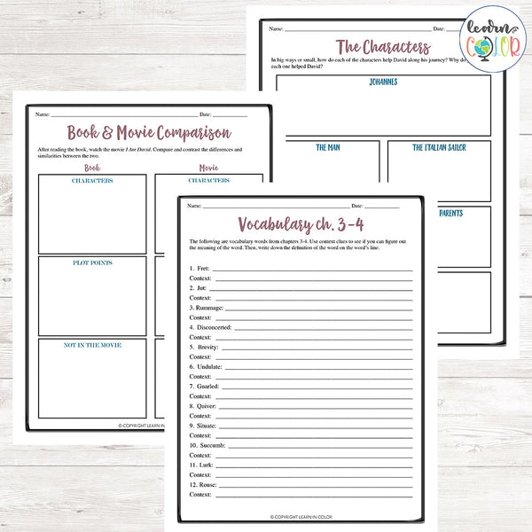 I Am David Book Study – Learn in Color