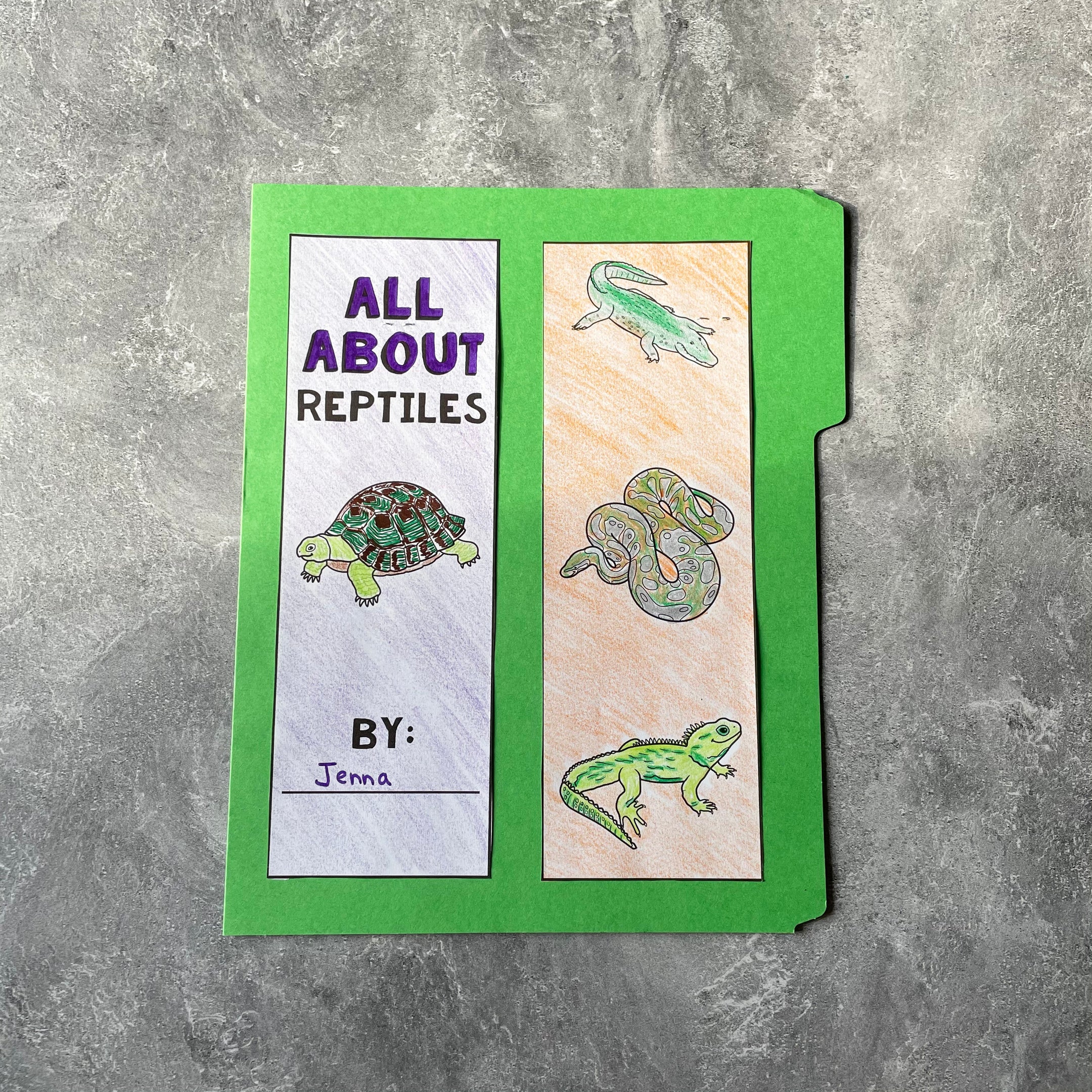 Reptiles Lapbook – Learn in Color