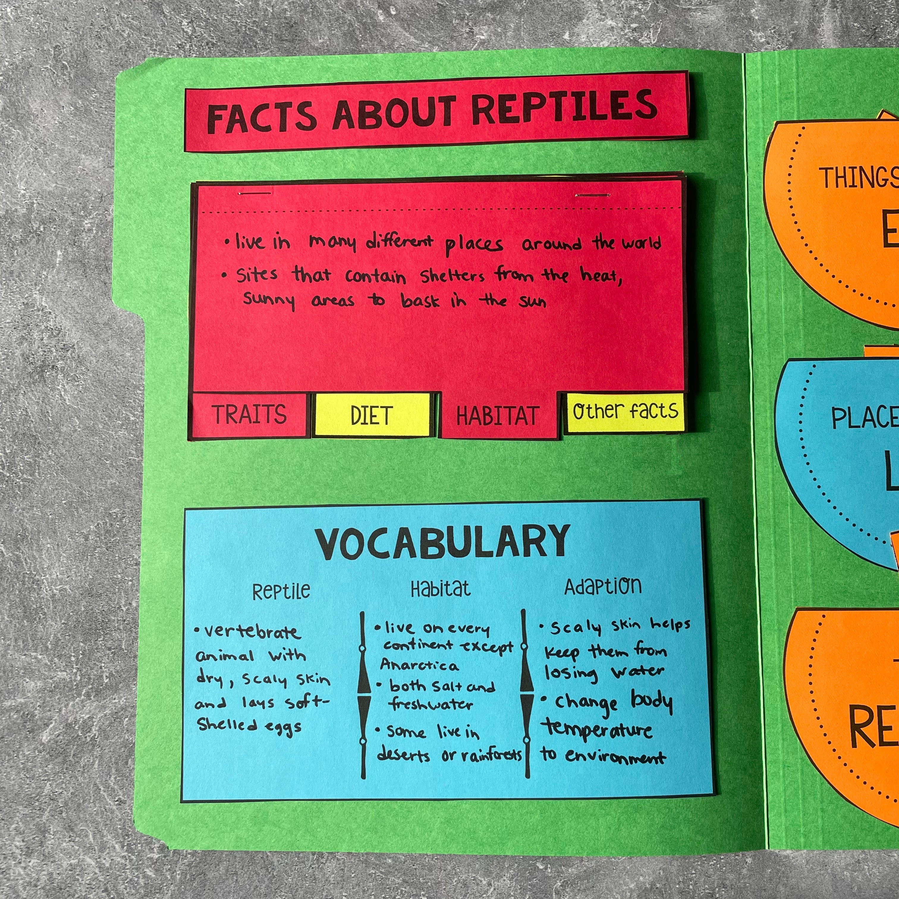 Reptiles Lapbook – Learn in Color