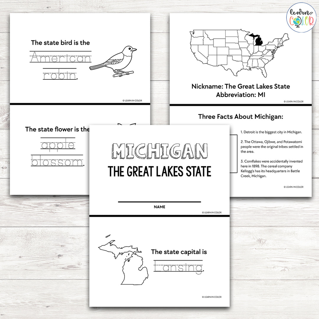US States Mini Books - Full Bundle – Learn in Color