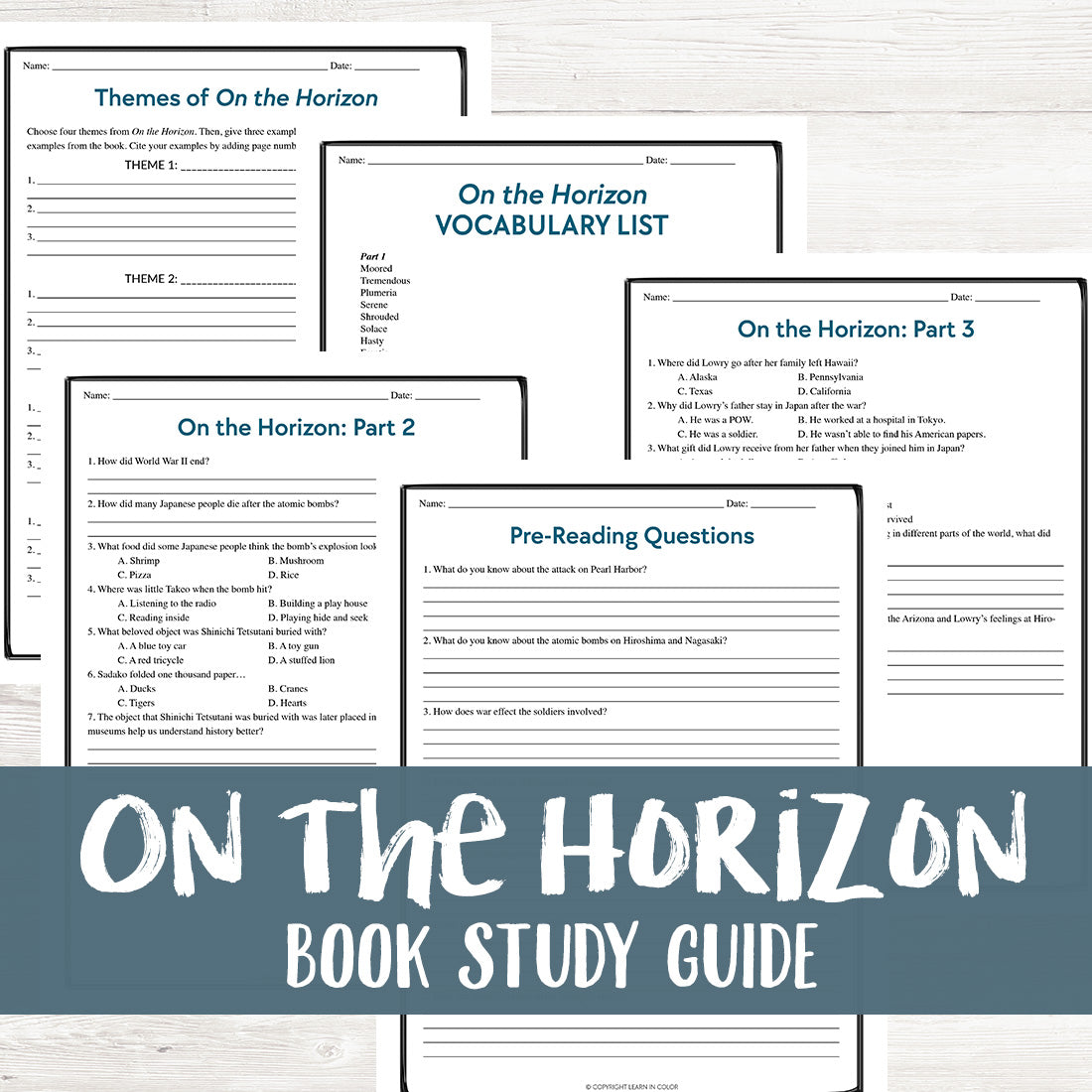 On the Horizon by Lois Lowry Novel Study – Learn in Color