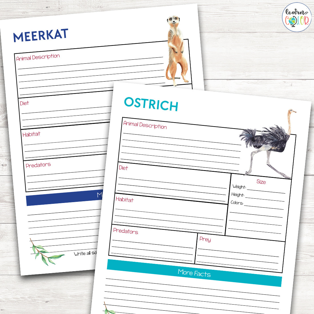 Safari Animals Research Worksheets – Learn in Color