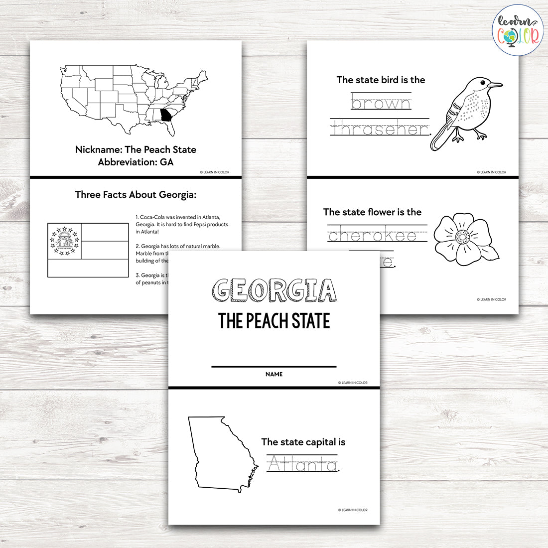 Southeast - US States Mini Books – Learn in Color