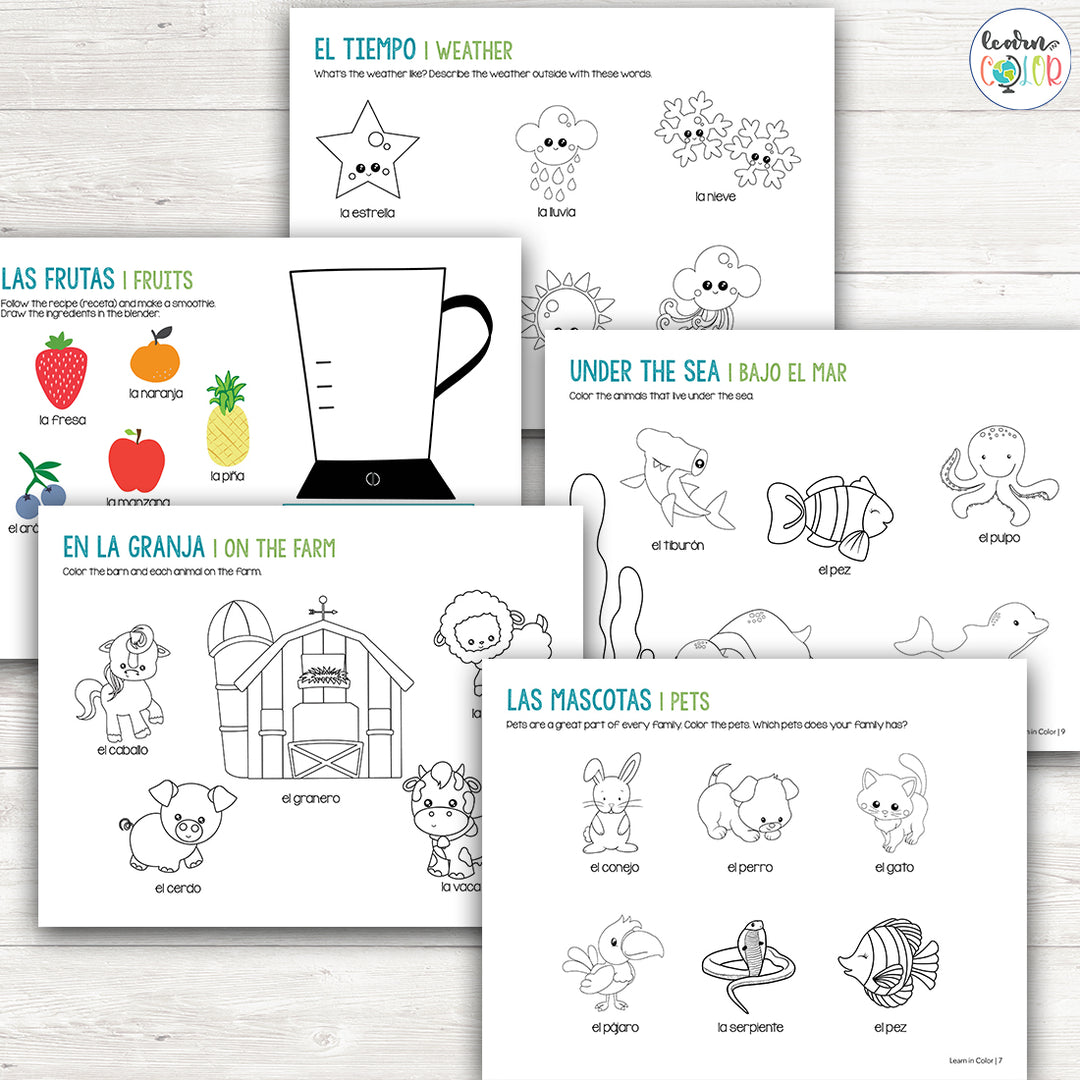 100 Spanish Words: Beginner Workbook – Learn in Color