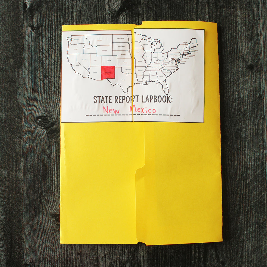 U.S. States Report Free Lapbook – Learn in Color