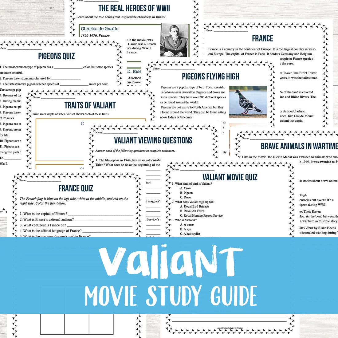 Valiant Movie Study Grades: 4-6 – Learn in Color